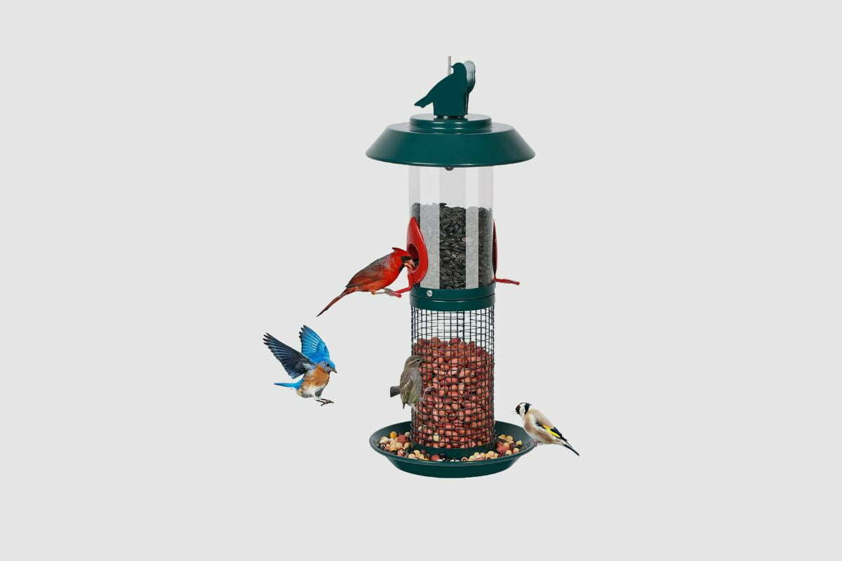 Top 10 Tube Bird Feeders to Attract More Birds to Your Garden