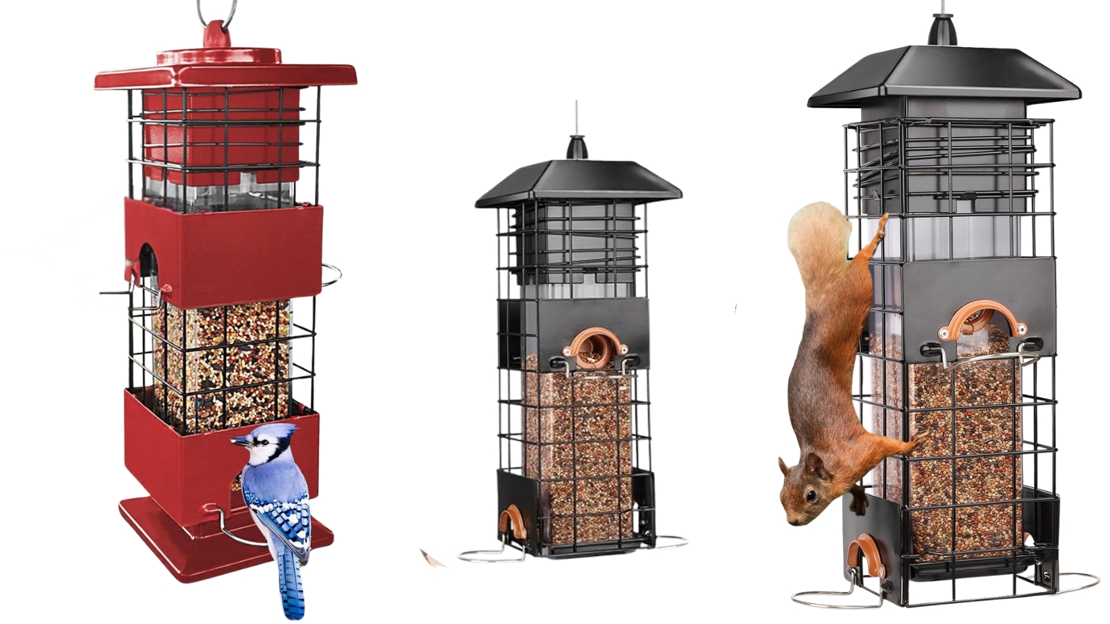 9 Best Squirrel-Proof Bird Feeders That Will Make Squirrels Admit ...